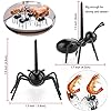 Amazon.com | Ant Toothpicks Fruit Dessert Fork (24Pcs) – OOTSR Reusable ...