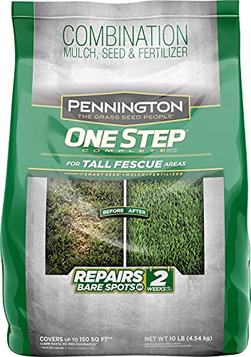 The 30 Best Bahia Grass Seeds of 2026 [Verified] - Cherry Picks
