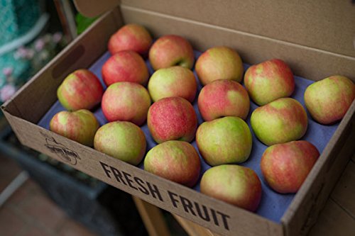 Amazon.com: Honey Crisp Apples Gift Box (18-22 Apples) : Grocery ...
