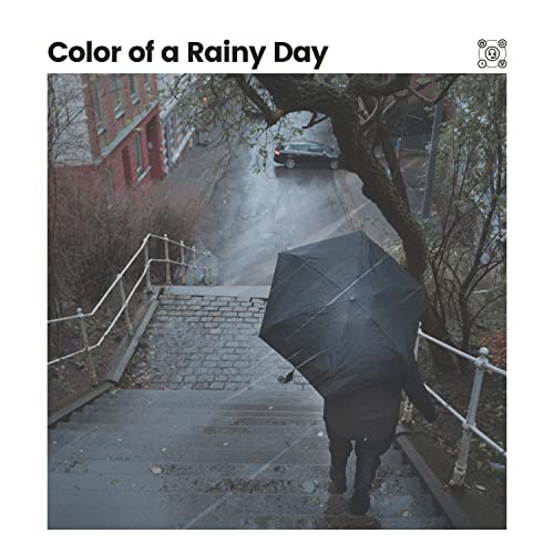 Color of a Rainy Day di Rain Drops for Sleep, Nature And Rain & Pro Sound Effects Library su ...