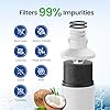 Amazon.com: Ecoviva LT1000P Replacement Water Filter, NSF/ANSI 42 ...