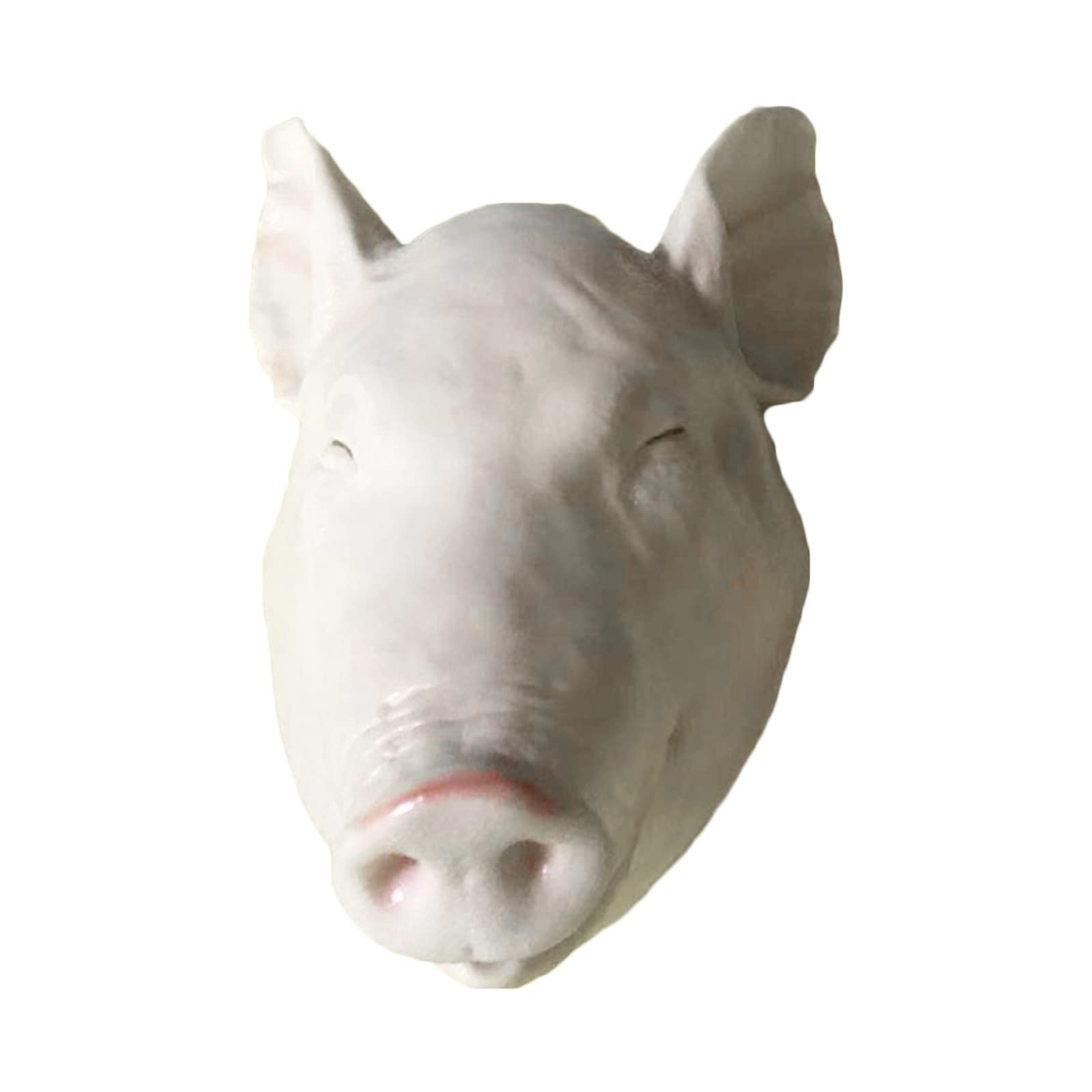 Real Pig Face Pig Face Hi Res Stock Photography And Images Alamy