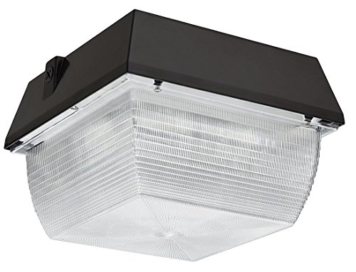 LITHONIA LED Canopy Light: Amazon.com: Industrial & Scientific