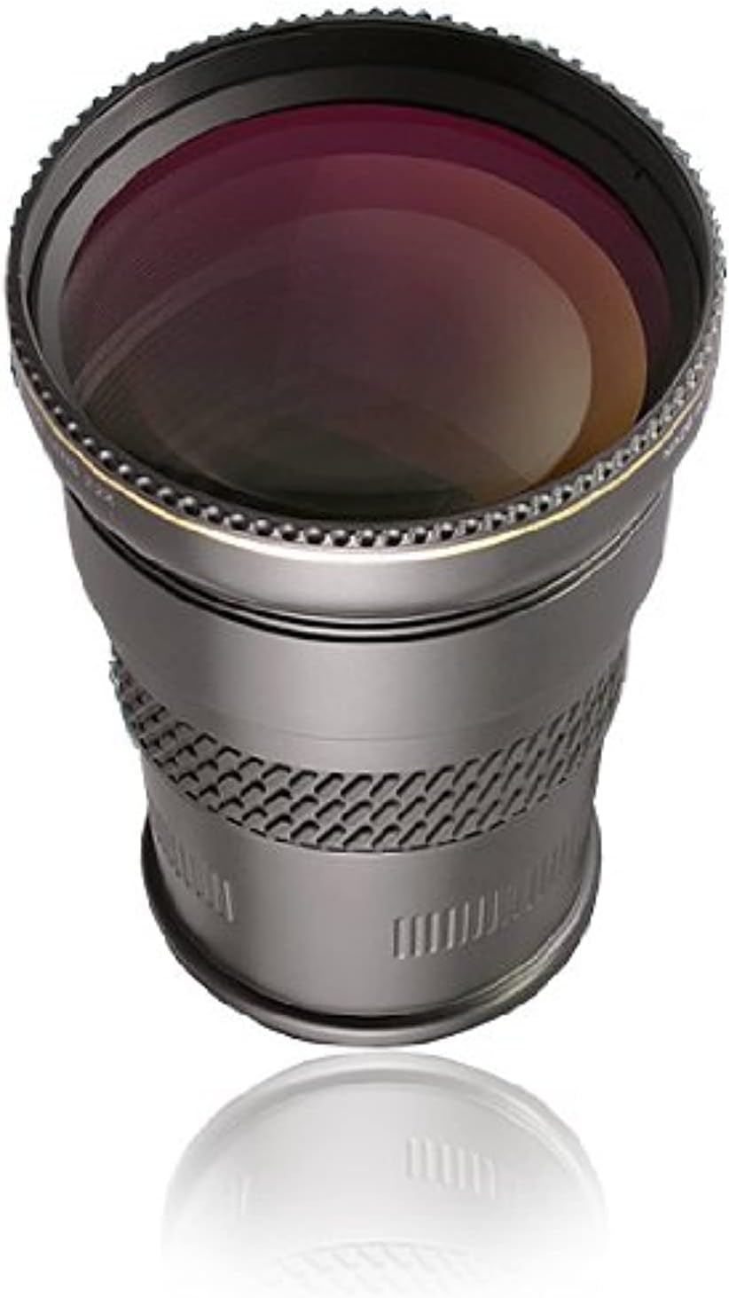 Amazon.com : Raynox DCR-250 Super Macro Snap-On Lens : Camera Lenses ...