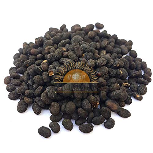 SriAmbassador Babchi 100g | Bapchi Seeds | Psoralea Corylifolia Seed ...