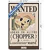 Amazon.com: One Piece - Chopper Wanted Poster Wall Poster, 34L" x 22.4W ...