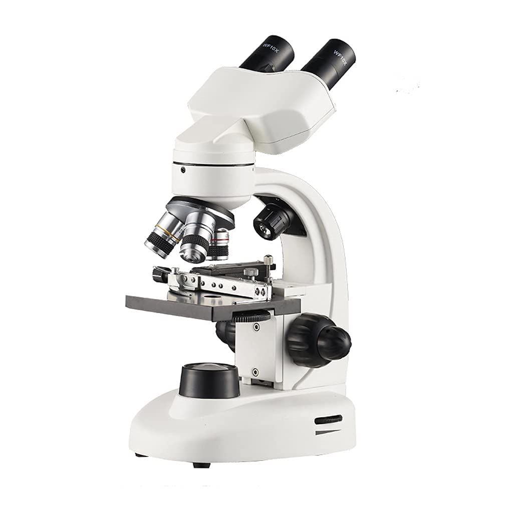 Buy Binocular Compound Lab Micros Magnifier Mechanical Stage for ...