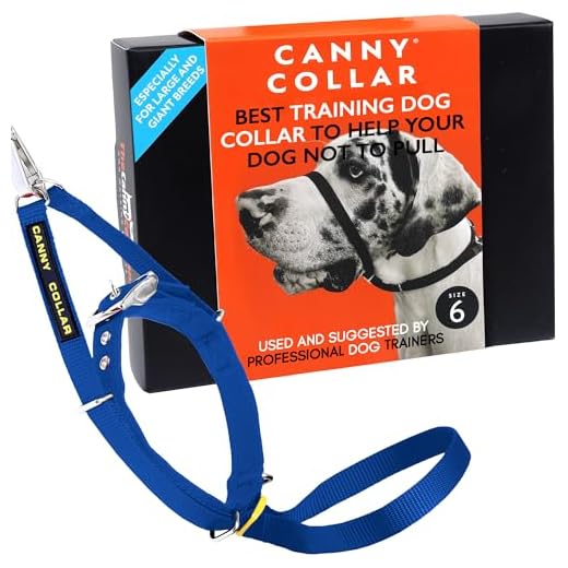 How To Put On A Dog Training Lead - Life My Dog
