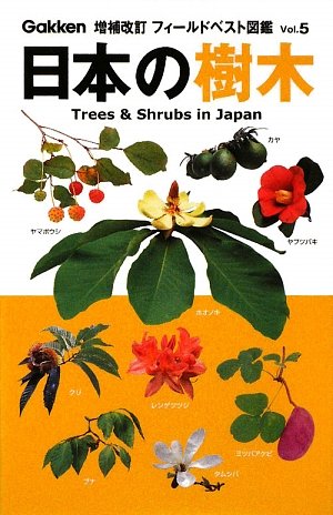 Amazon.com: Trees of Japan (revised augmented field best illustrated ...