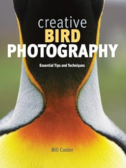 Amazon.com: Creative Bird Photography: Essential Tips and Techniques ...