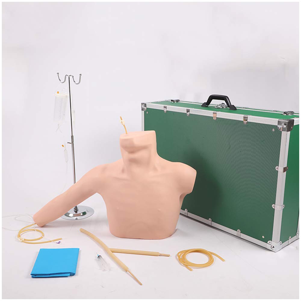 Buy LUCKFY Venous Puncture Intubation Model Peripheral Center Heart ...