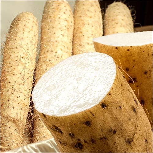 Amazon.co.jp: 北海道産 十勝川西長いも 2L 5kg(6本入り) JA帯広 十勝川西 長いも 長芋 ギフト お歳暮 北海道 お取り寄せ : 食品・飲料・お酒