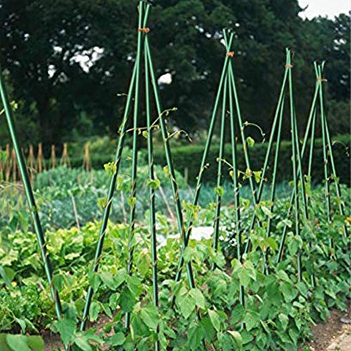 Snapklik.com : Growsun 6ft Tomato Stakes Plant Stake Supports Garden ...