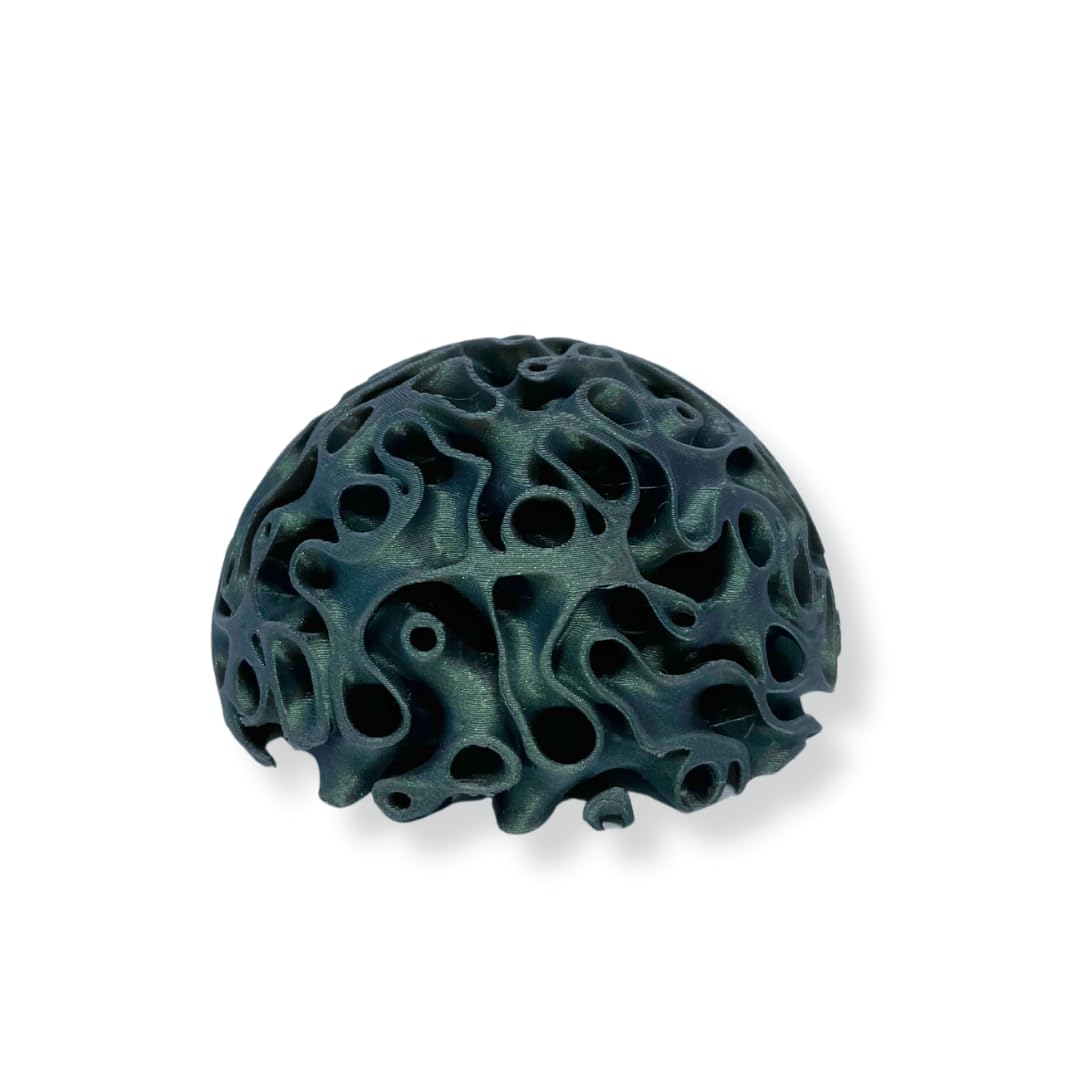 Amazon.com: REEFSHAPE Aquarium Coral Reef Dome - Aquarium Reef Replica ...