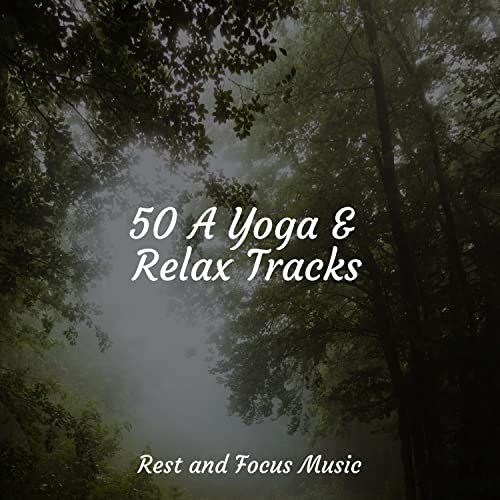 Amazon Music - Mindfulness Meditation Universe, Study Zone, Childrens ...