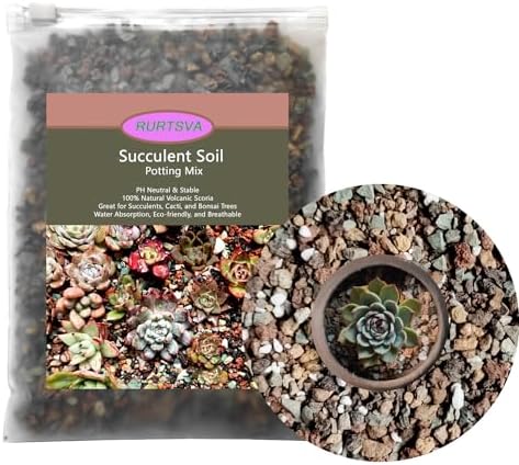 Amazon.com : TOPZEA 12lb Mix Lava Rocks Pebbles for Plant, Potting Soil ...