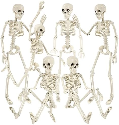 Amazon.com : CAMIRUS 5PACK Halloween Skeleton Decorations, 16" Full ...