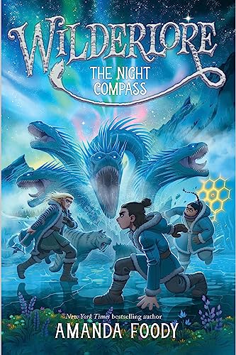 The Night Compass (Wilderlore Book 4) - Kindle edition by Foody, Amanda ...