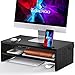 LORYERGO Monitor Stand, Monitor Riser, 2 Tier Computer Stand, Monitor ...