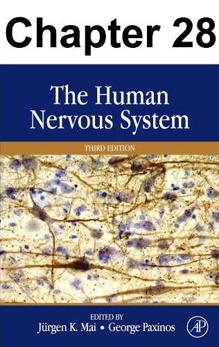 Amazon.com: Chapter 028, Posterior Parietal Cortex: Multimodal ...