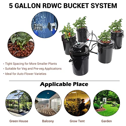RDWC Top Feed Drip Hydroponics Systems, Recirculating Deep Water ...