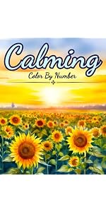 Amazon.com: 125 Color By Number - Coloring Book for Adults: Large Print ...