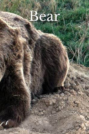 Bear: Graph Papier 6x9 100 Pages: Marioso: Amazon.com: Books