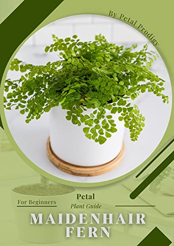 Maidenhair Fern: Prodigy Petal, Plant Guide eBook : Prodigy, Petal: Amazon.in: Kindle Store
