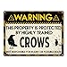 Amazon.com: Crow Decor - Warning This Property Is Protected By A Highly ...