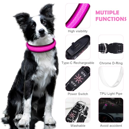 AUAUY Light Up Dog Collar, LED Dog Collar Light USB Rechargeable ...