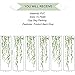 Amazon.com: 6 Sheet Hanging String of Pearls Vine Leaves Wall Stickers ...