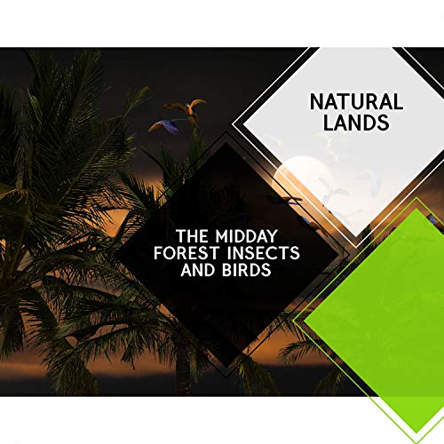 Amazon.com: The Midday Forest Insects and Birds - Natural Lands ...