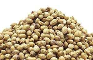 Freshv Sabut dhaniya/khada coriander seeds organic 950g : Amazon.in ...