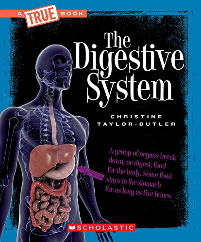 Digestive System Organs Real
