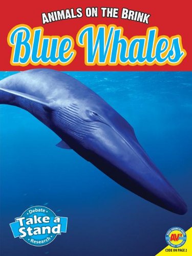 Blue Whales (Animals on the Brink): Miller-Schroeder, Patricia ...