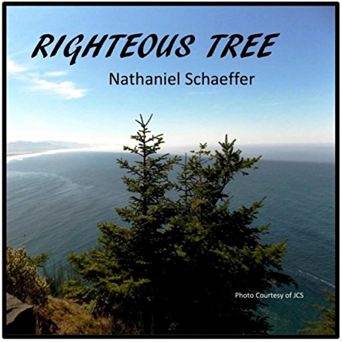 Amazon.com: Righteous Tree : Nathaniel Schaeffer: Digital Music