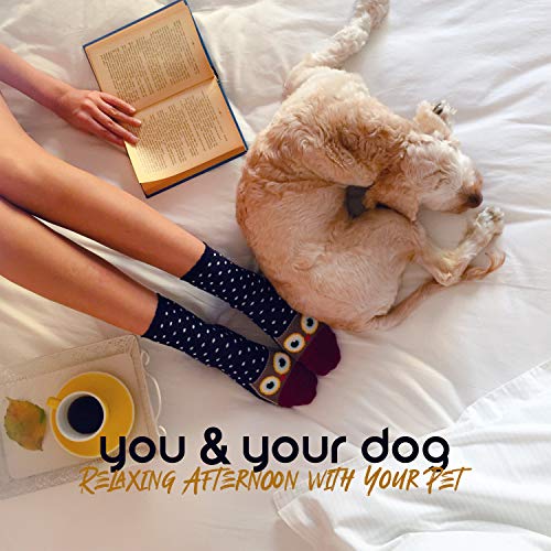 Play You & Your Dog - Relaxing Afternoon with Your Pet: Relaxing Jazz ...
