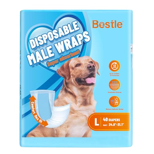 Best Male Dog Diapers for Incontinence: Top Picks for Comfort and ...