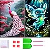 Amazon.com: Liccyy Large 5D Diamond Art Painting Kits for Adults Teens ...
