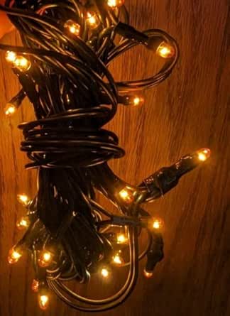 Amazon.com: Light Set String Strand - Amber Teeny Rice Bulbs - 50 CT ...