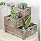 Amazon.com: TIMRIS Set of 3 Rustic Wood Nesting Crates, Farmhouse ...