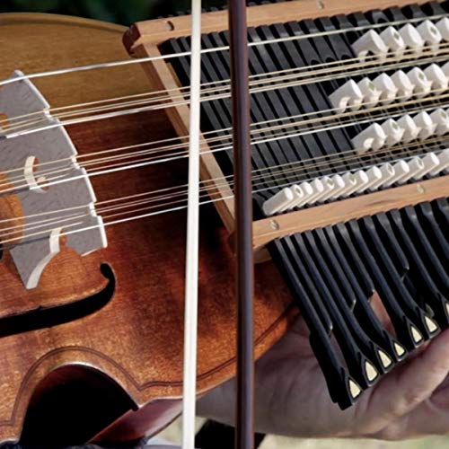 Palidorian von John Coda bei Amazon Music - Amazon.de