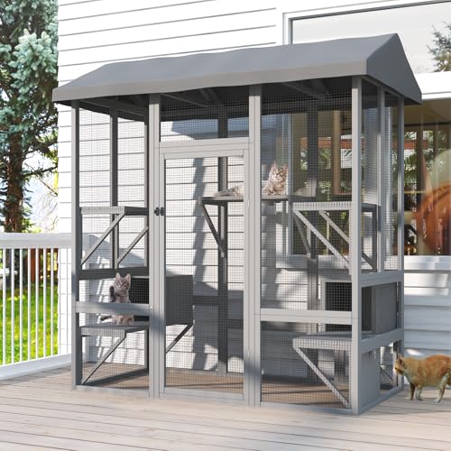 10 Best Outdoor Cat Enclosures