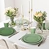 Amazon.com: Whaline 244Pcs Sage Green Tableware Set Serves 48 Gradient ...
