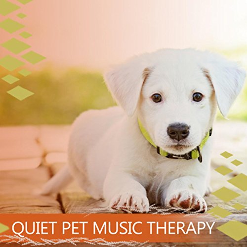 Amazon MusicでPet Music AcademyのQuiet Pet Music Therapy: Songs for Your ...
