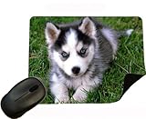 ・ブランド:Eclipse Gift Ideas・製造元:Eclipse Gift Ideas・モデル:Dog-12-M-pad・製造元/メーカー部品番号:Dog-12-M-pad・mousematと、ブラックラバー滑り止めの底・22 cm...