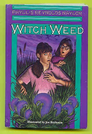 Witch Weed: Naylor, Phyllis Reynolds: 9780385304269: Amazon.com: Books