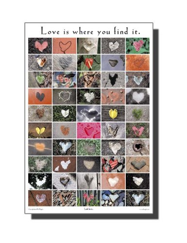 Found Hearts Poster (Found Heart Photographs): Rick Ruggles ...