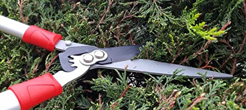 8 Best Garden Shears For Shrubs, Hedging & Topiary - Tested