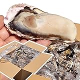 ・ブランド:ＶＩＶＩＤ　ＬＩＦＥ・製造元:VIVID LIFE・製造元/メーカー部品番号:mrs0405-rt・宮城県の牡蠣小屋からお届けします。生食用ですが、加熱料理にもおすすめです。身入りのいい時期の生牡蠣を、生食用に浄化処理をし冷凍し...